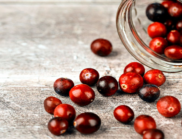 Cel mai bun remediu pentru imunitate sunt merișoarele — dovedit de medici